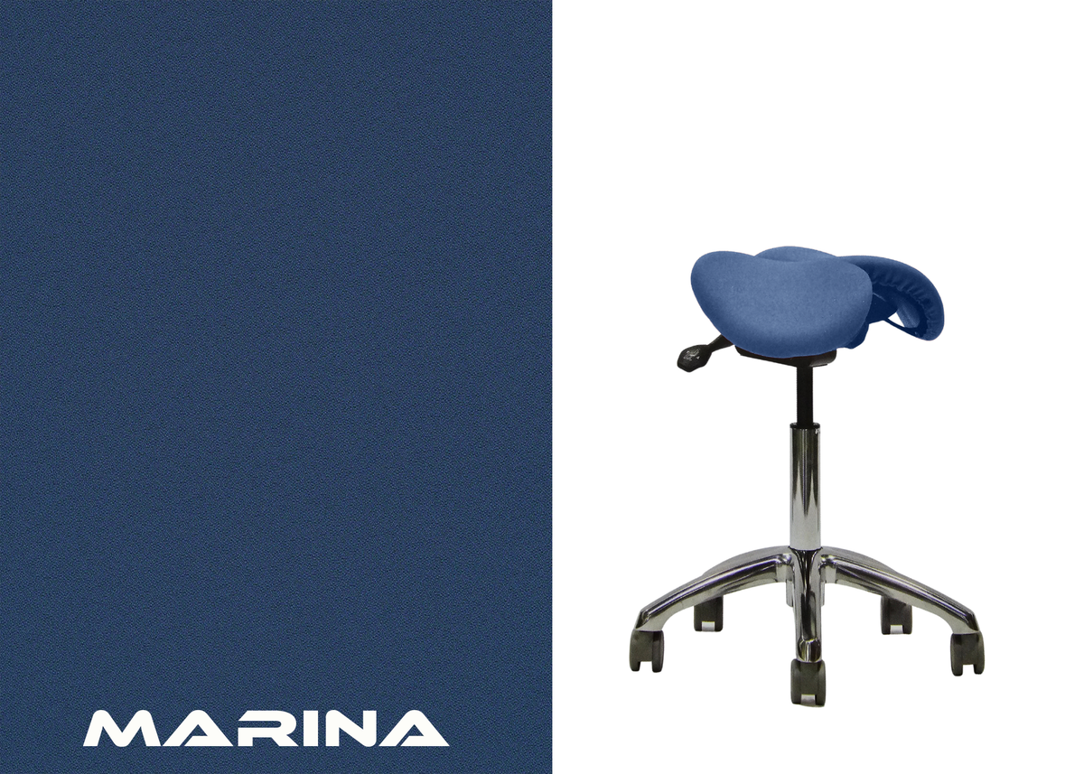 Ergonomic Office Solution with the Ergolab Ascend